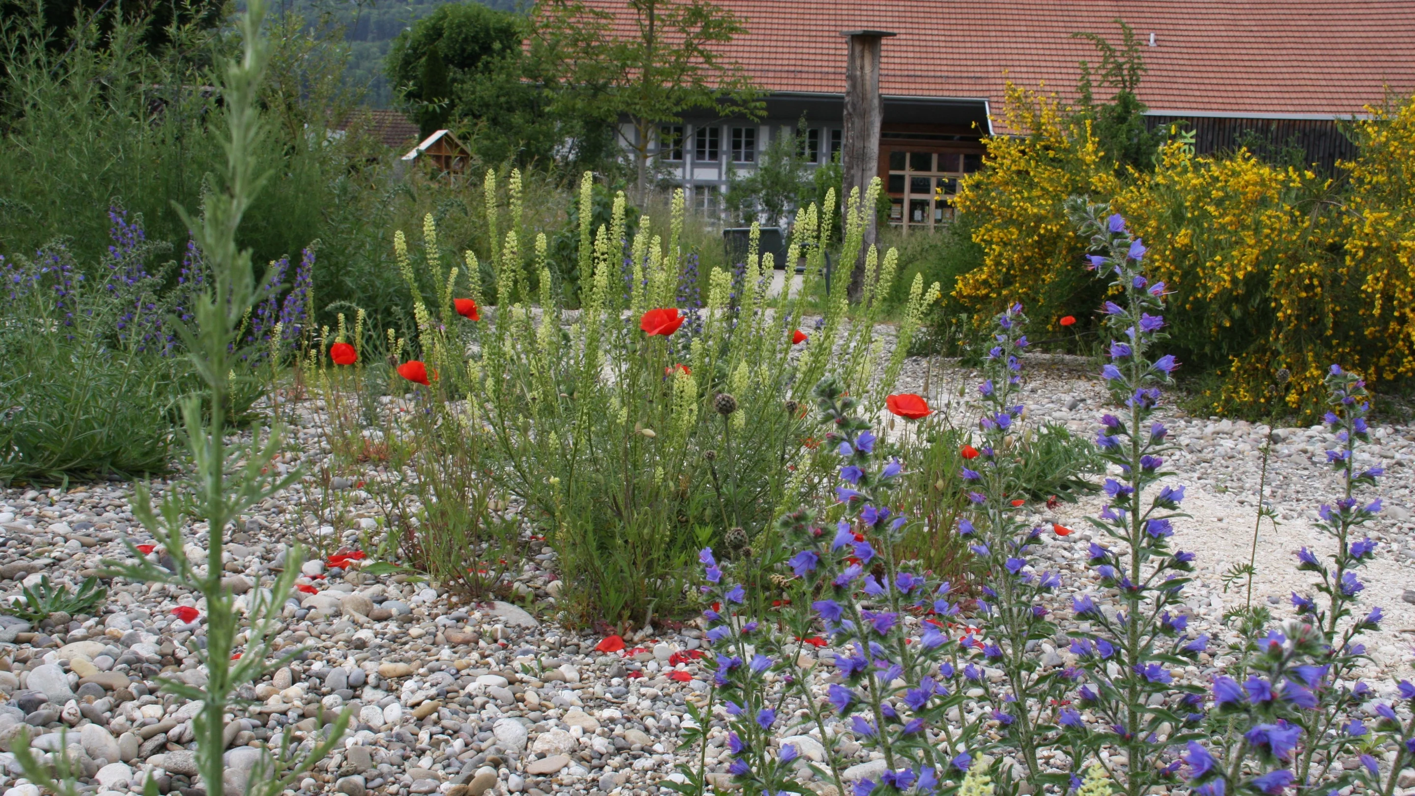 Rothrist | NATUR FINDET STADT