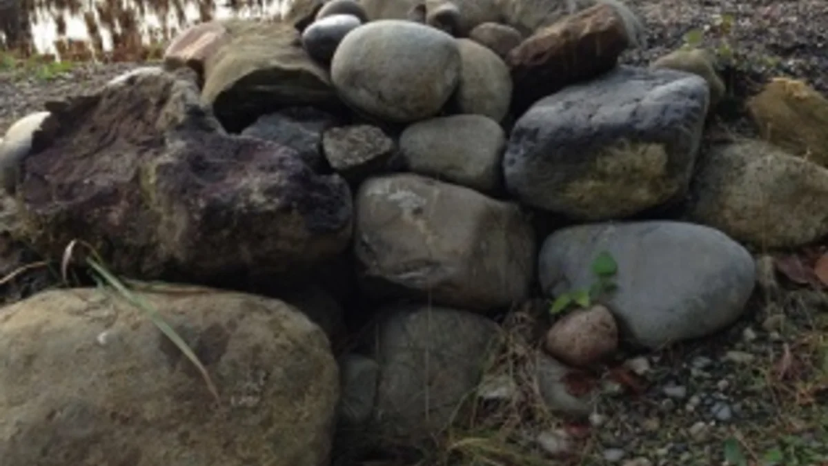 Struktur-Elemente | NATUR FINDET STADT